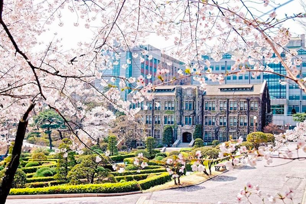 A Guide to Visiting Yonsei University in 2023 - Best of Korea